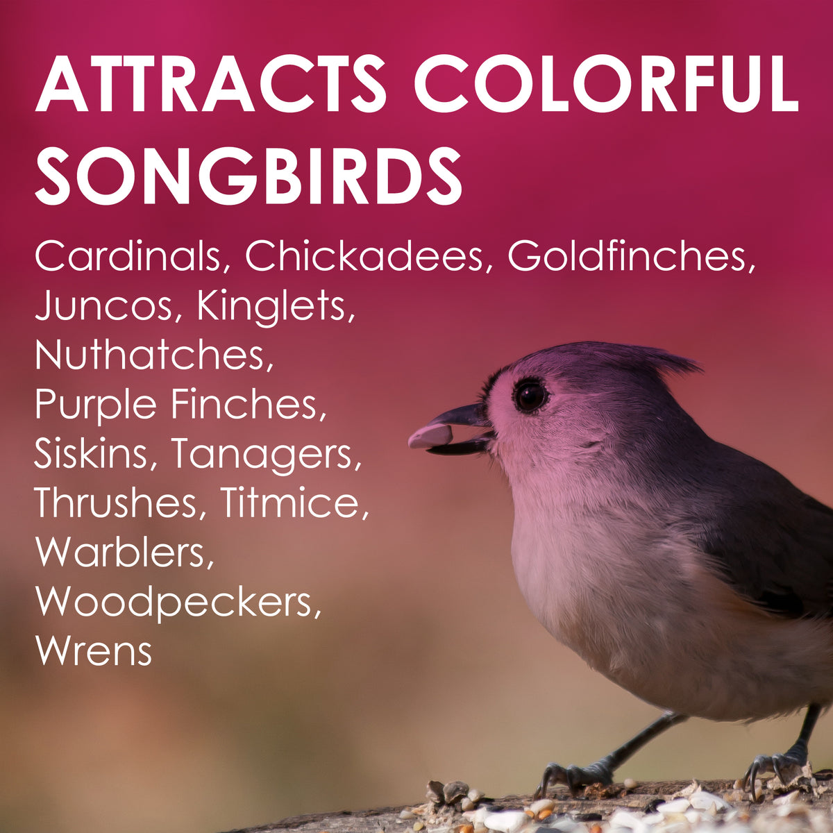 Heath DD-15: Berry Blast, All-Season Suet Cake, No Melt, 11.25-Ounce C ...