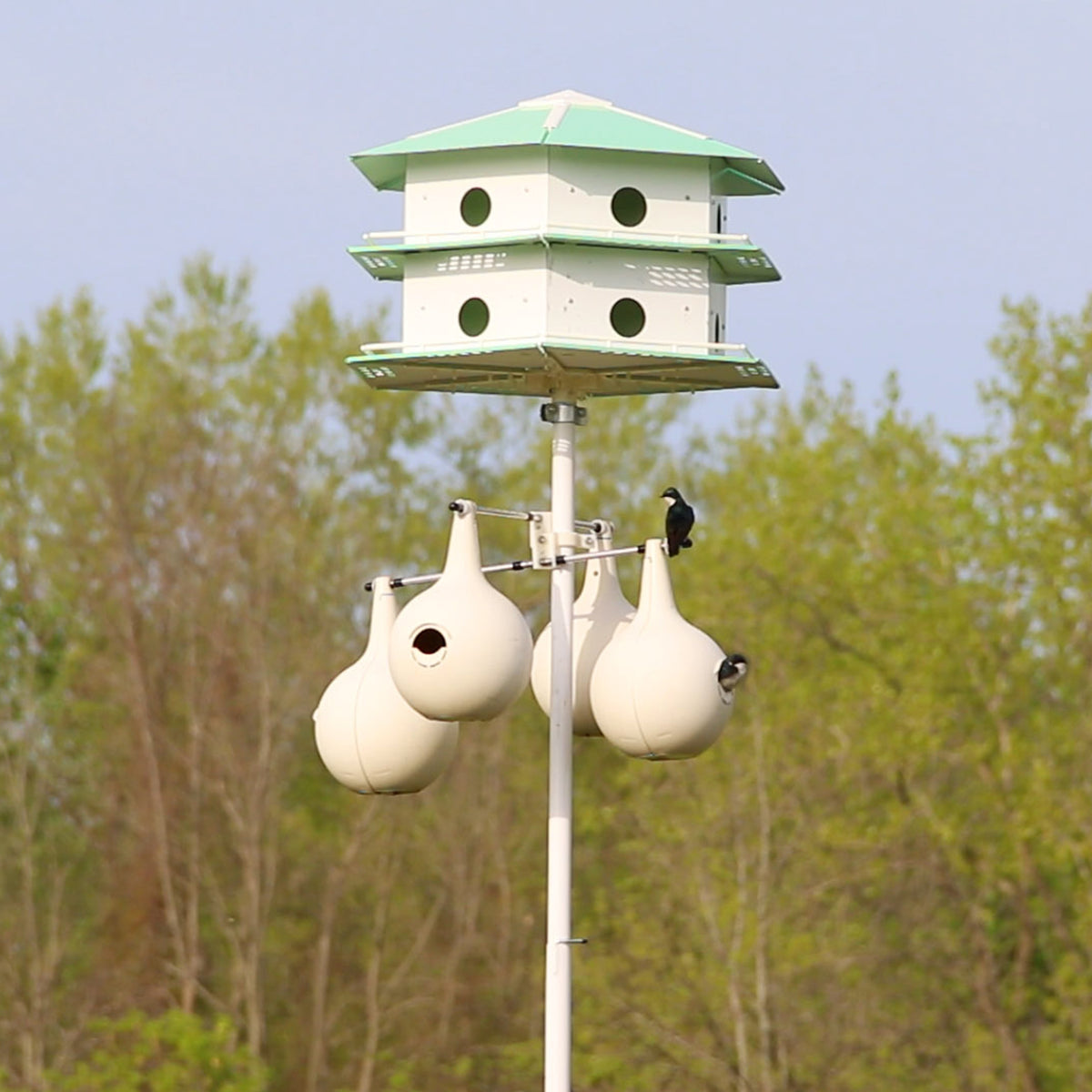 Heath AHN-12: 12-room Snap-together Plastic & Aluminum Purple Martin H ...